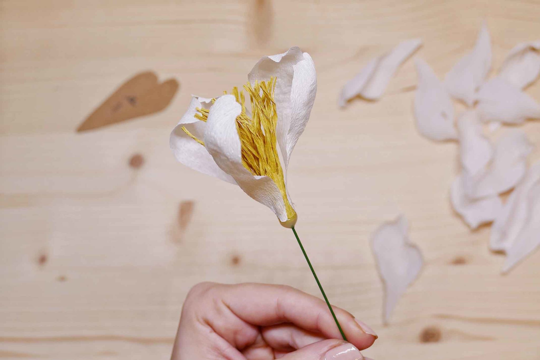 Comment faire des fleurs en papier crépon : notre tuto DIY exclusif