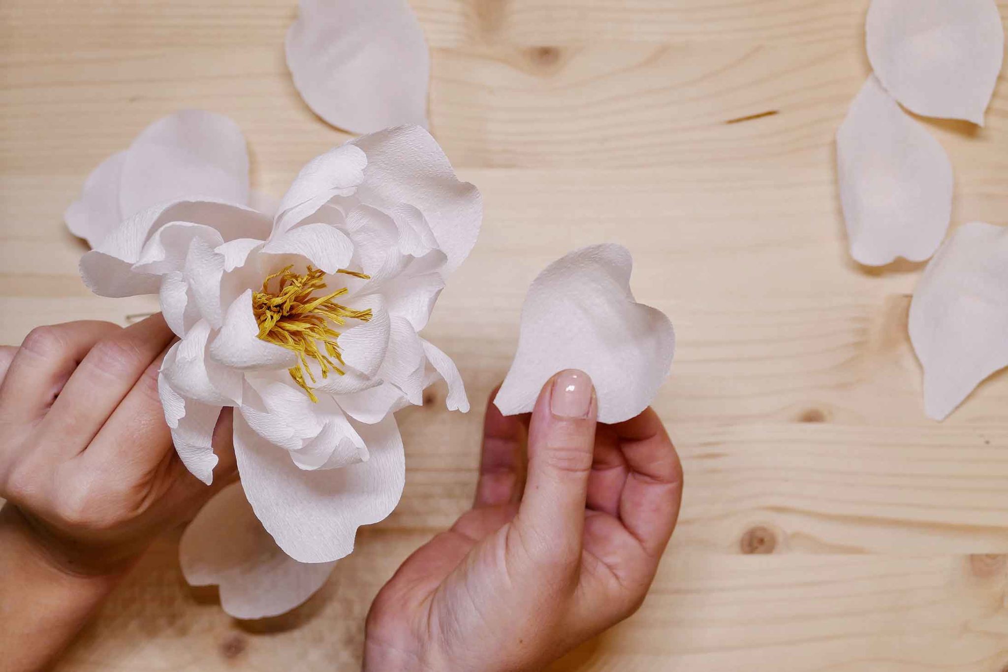 Comment faire des fleurs en papier crépon : notre tuto DIY exclusif